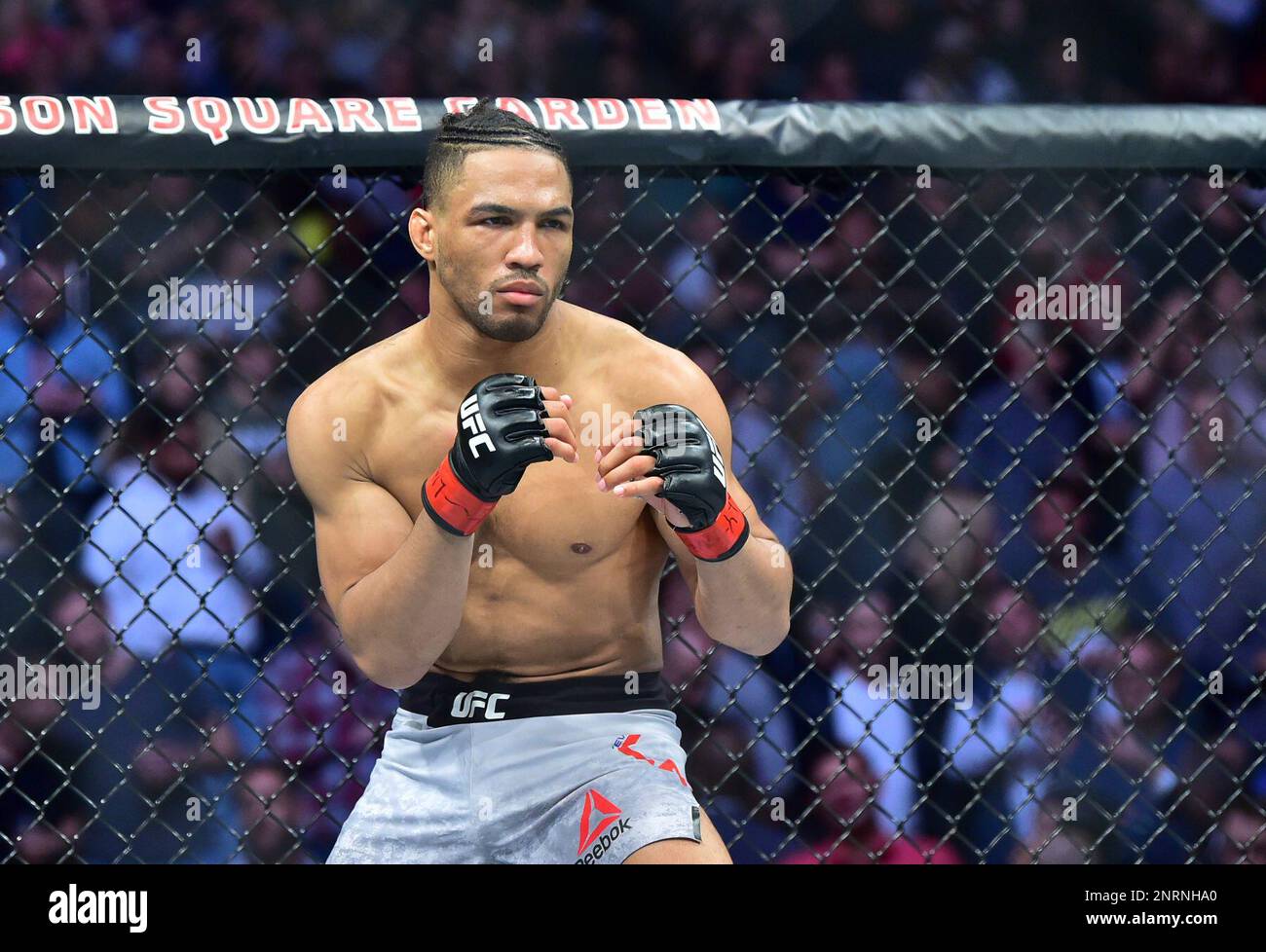 New York, NY, USA - 02/11/2019 - UFC 244 - Kevin "The Motown Phenom ...