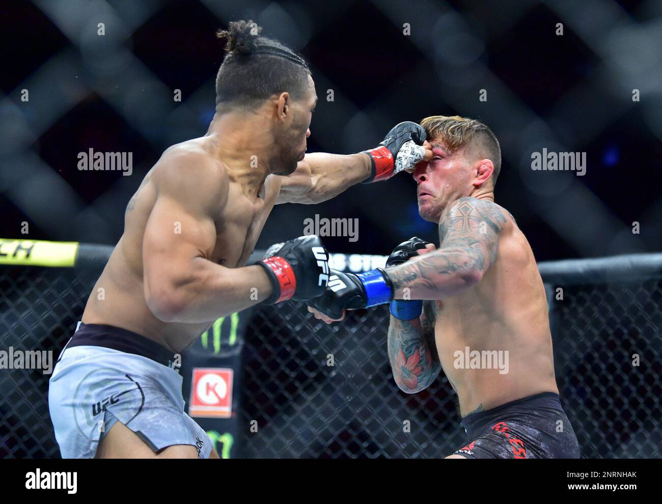 New York, NY, USA - 02/11/2019 - UFC 244 - Kevin "The Motown Phenom ...