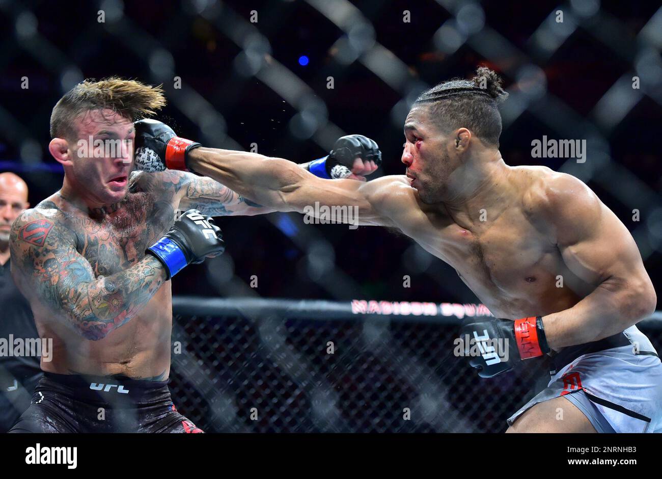 New York, NY, USA - 02/11/2019 - UFC 244 - Kevin "The Motown Phenom ...