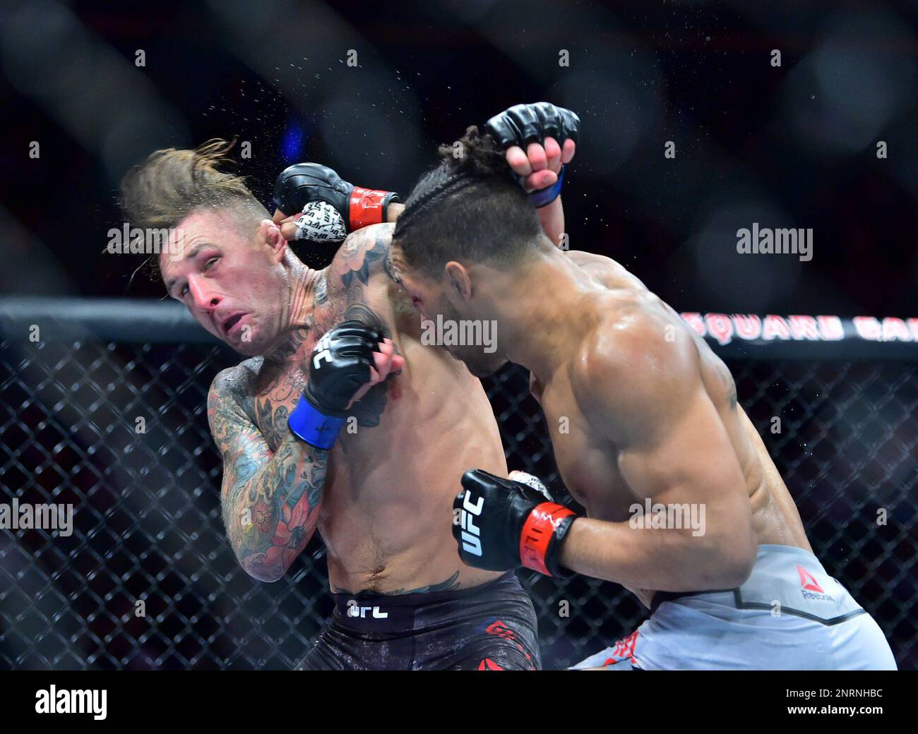 New York, NY, USA - 02/11/2019 - UFC 244 - Kevin "The Motown Phenom ...