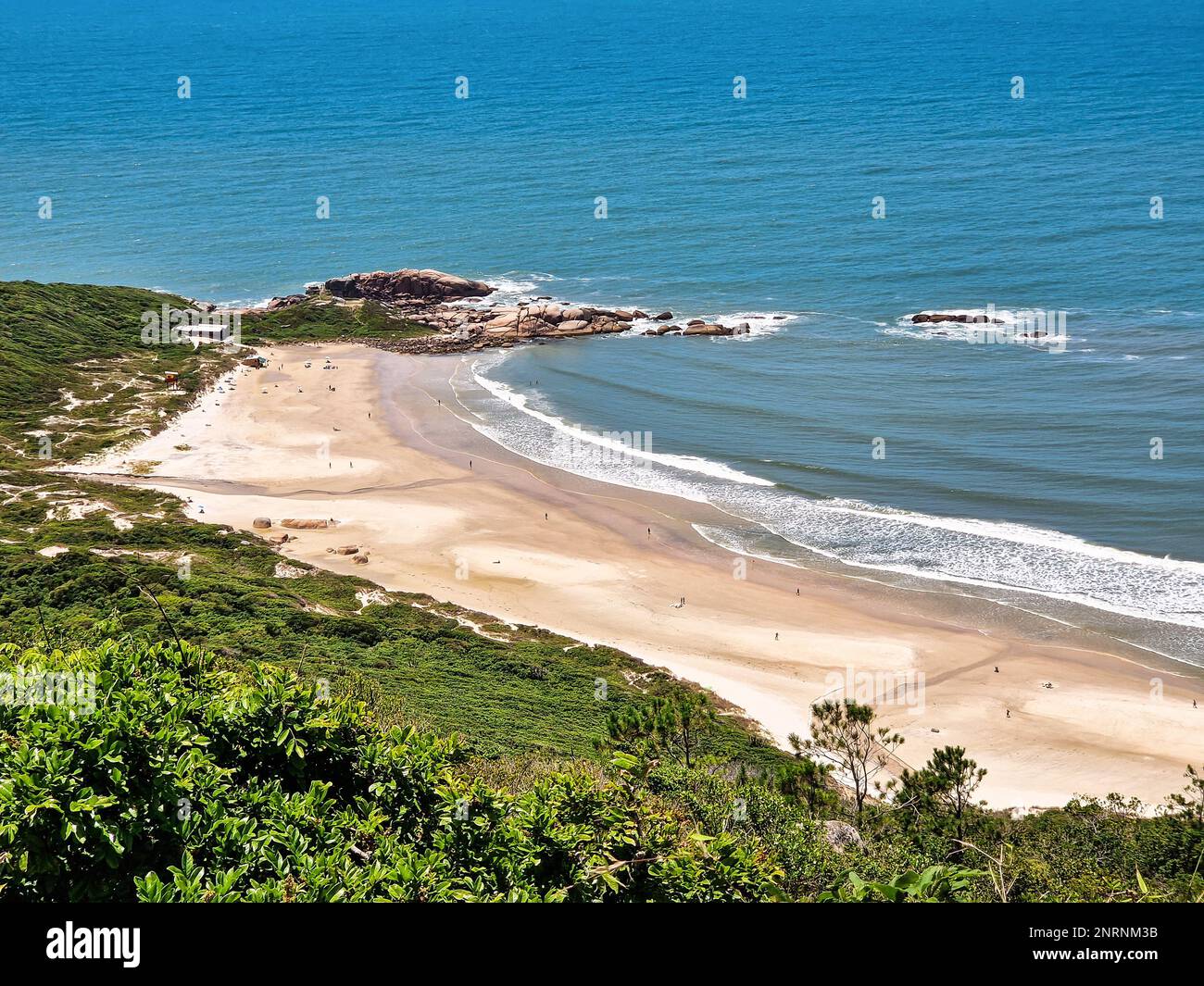 Vegetation , rocks and beach at Galheta beach, Morro da Galheta ...