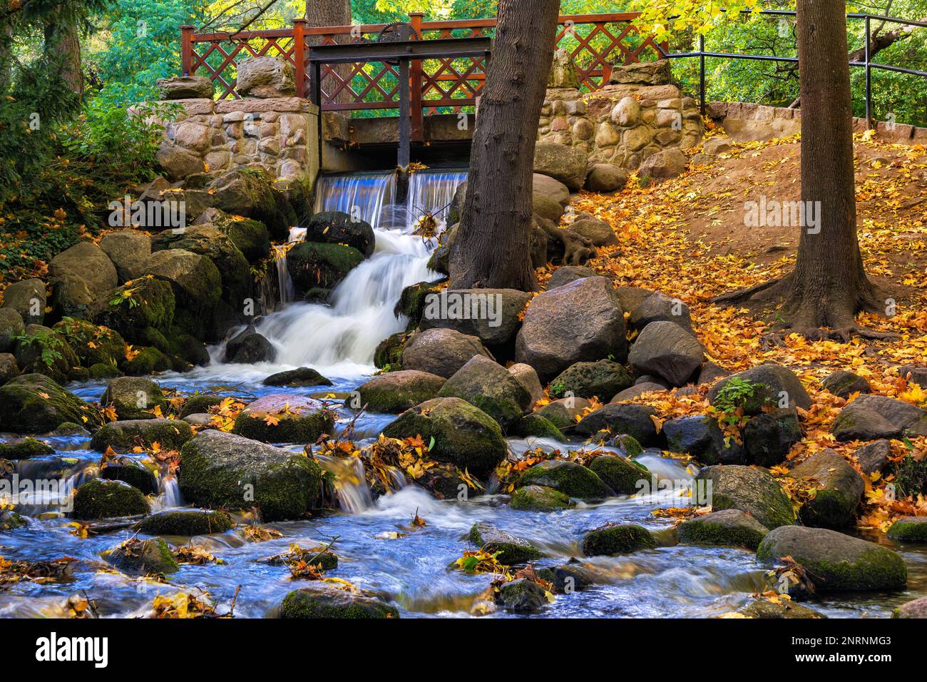 Autumn landscape with waterfall and footbridge in historic Oliwski Park ...