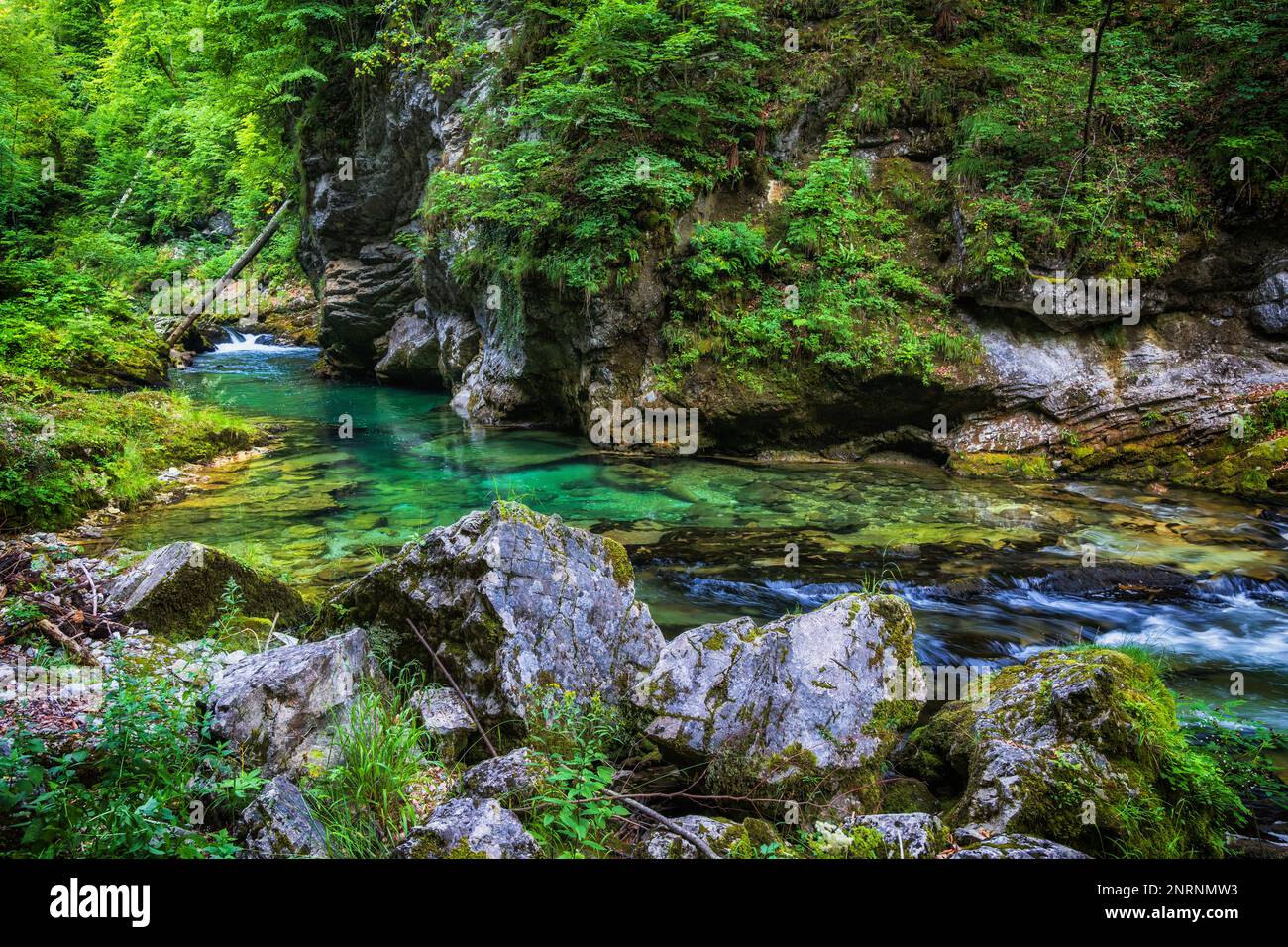 Alpine landscape with Radovna River in Vintgar Gorge, Triglav National ...