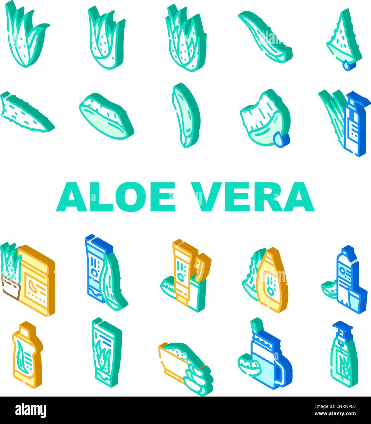 aloe vera plant nature green leaf icons set vector Stock Vector Image ...