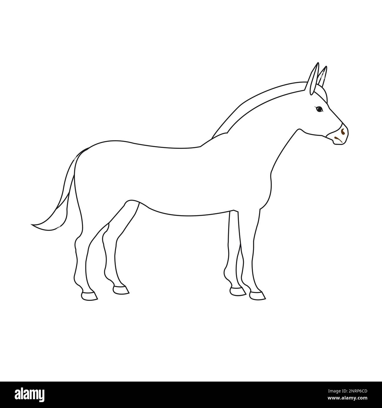 Vector flat hand drawn outline donkey isolated on white background ...