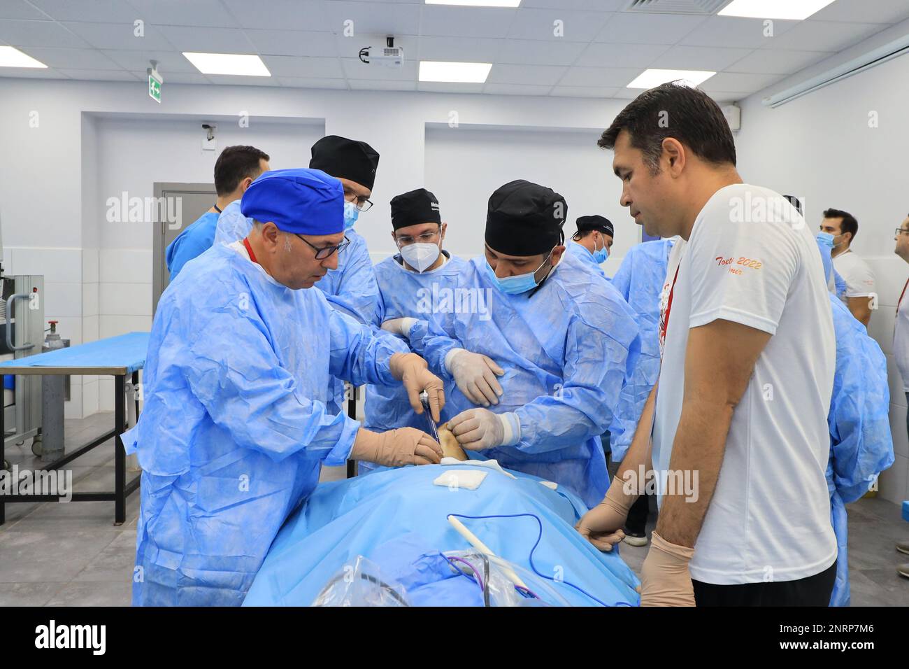 Thyroid surgery workshop on cadaver Stock Photo - Alamy