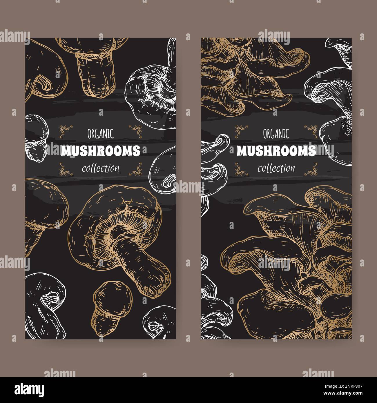Two labels with Agaricus bisporus aka common mushroom and Pleurotus ...