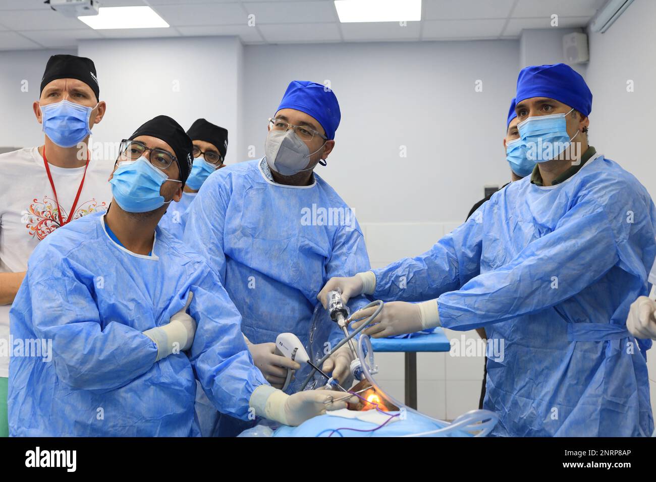 Thyroid surgery workshop on cadaver Stock Photo - Alamy