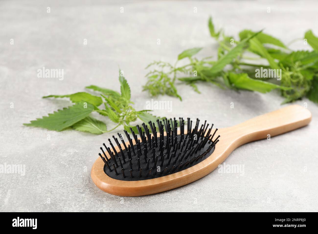 Stinging nettle and brush on grey background. Natural hair care Stock ...
