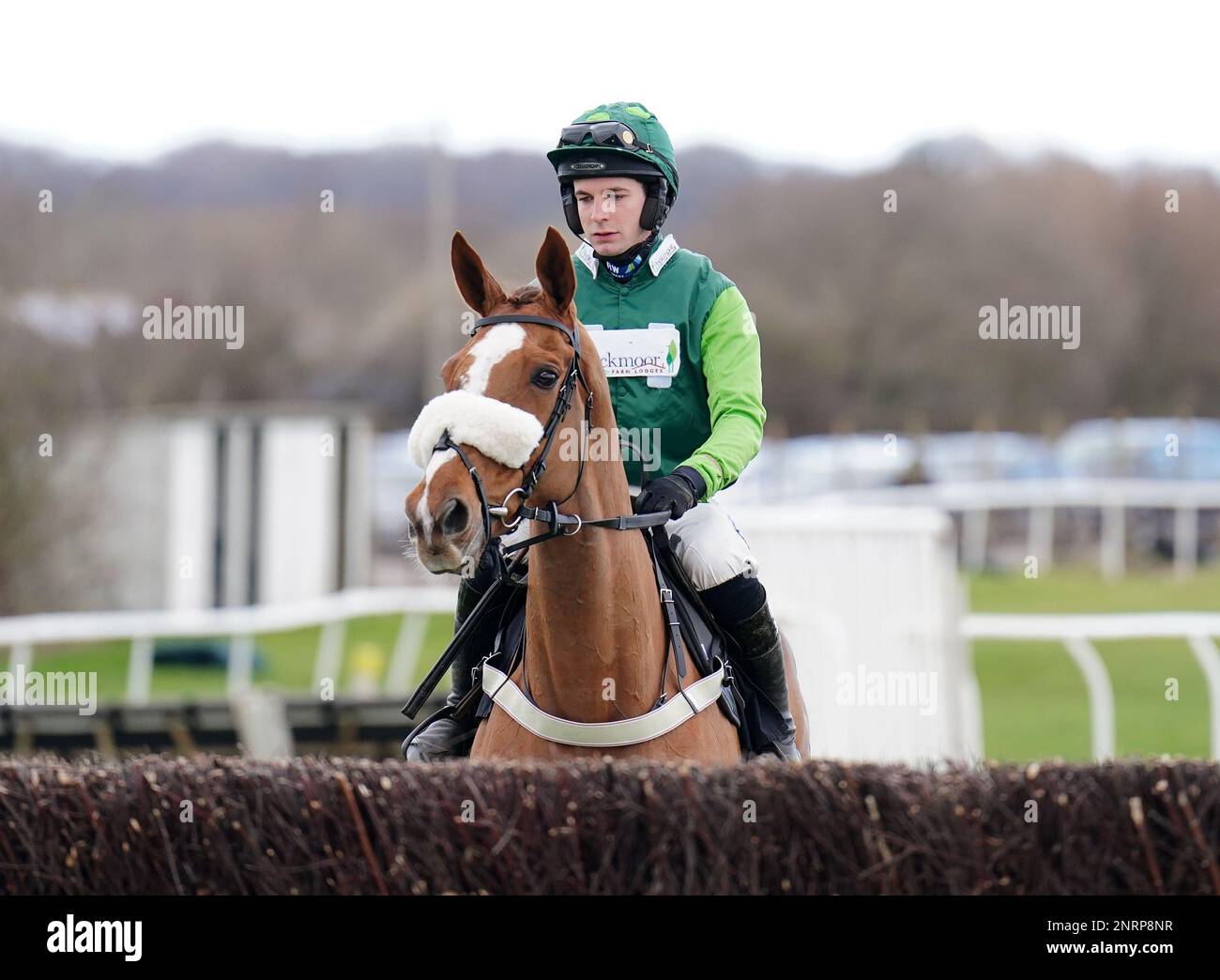 Rex dingle hi-res stock photography and images - Alamy