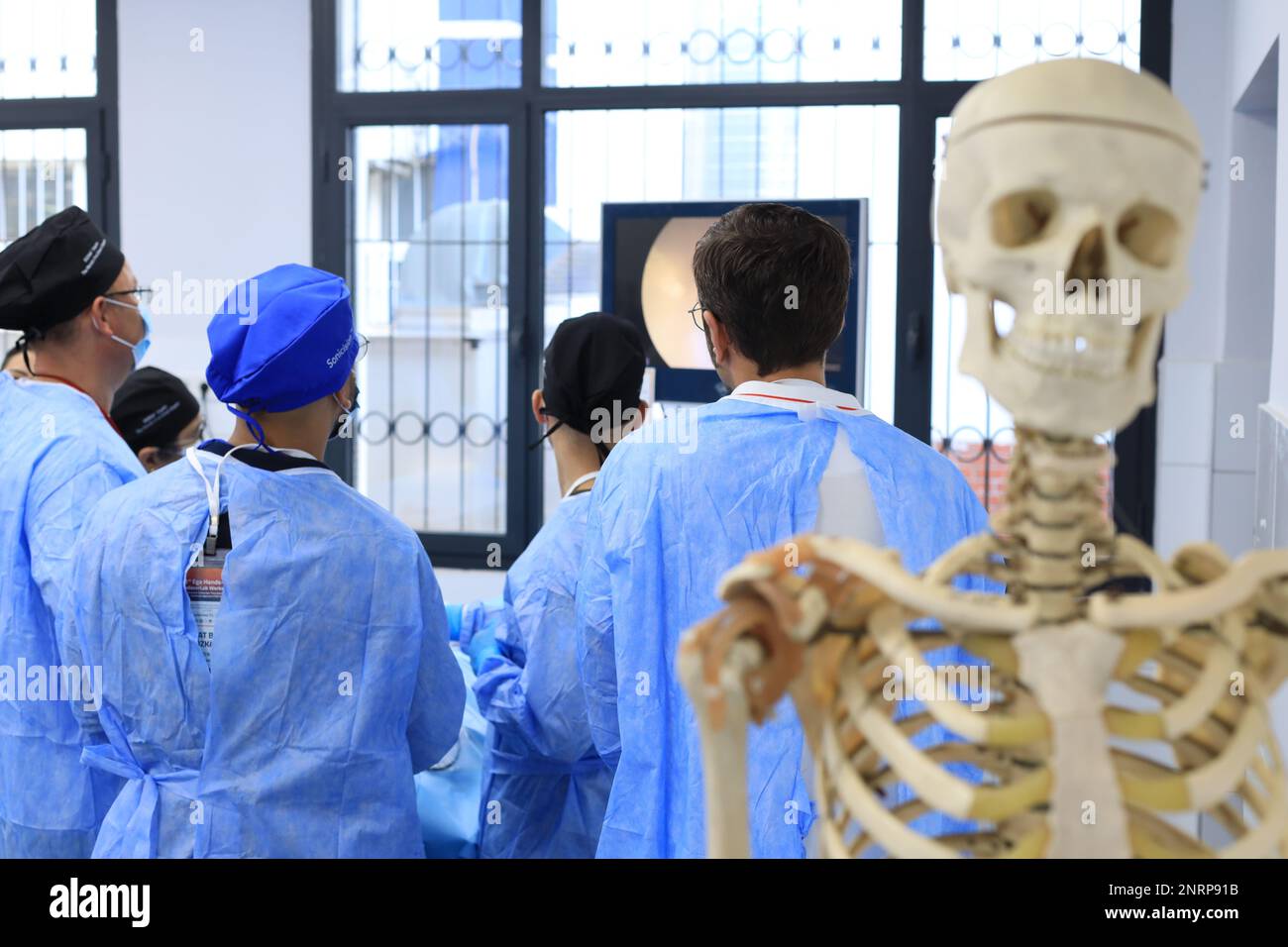 Thyroid surgery workshop on cadaver Stock Photo - Alamy
