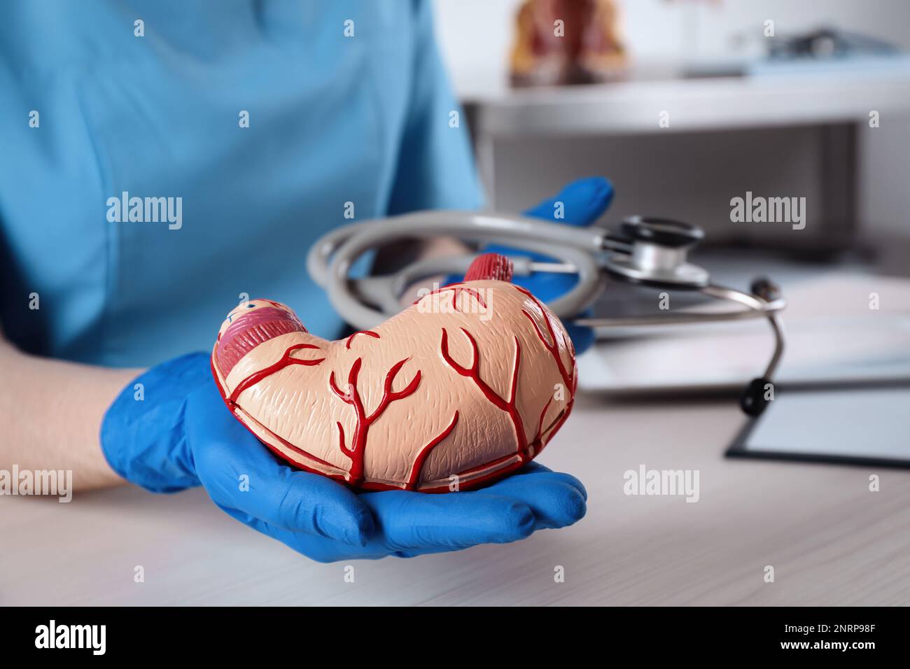 Gastroenterologist with human stomach model and stethoscope at table in ...