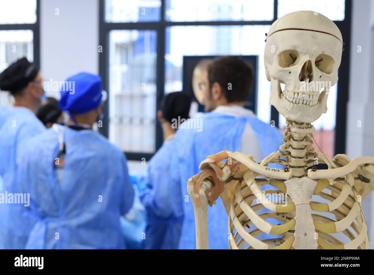 Thyroid surgery workshop on cadaver Stock Photo - Alamy