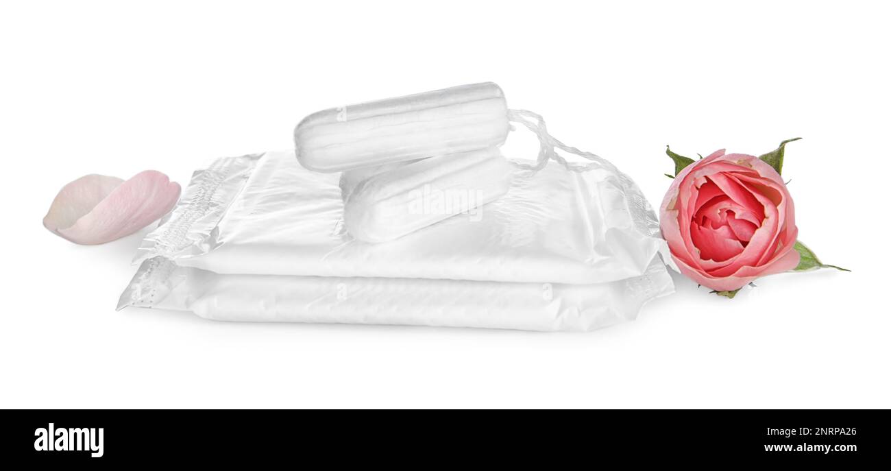 Tampons, disposable menstrual pads and beautiful rose on white ...