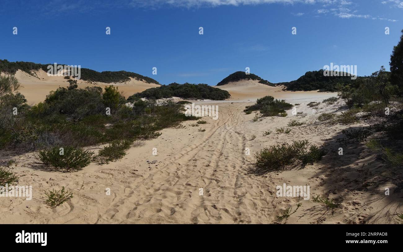 4WD track in the sand dunes in Byfield National Park, Central ...