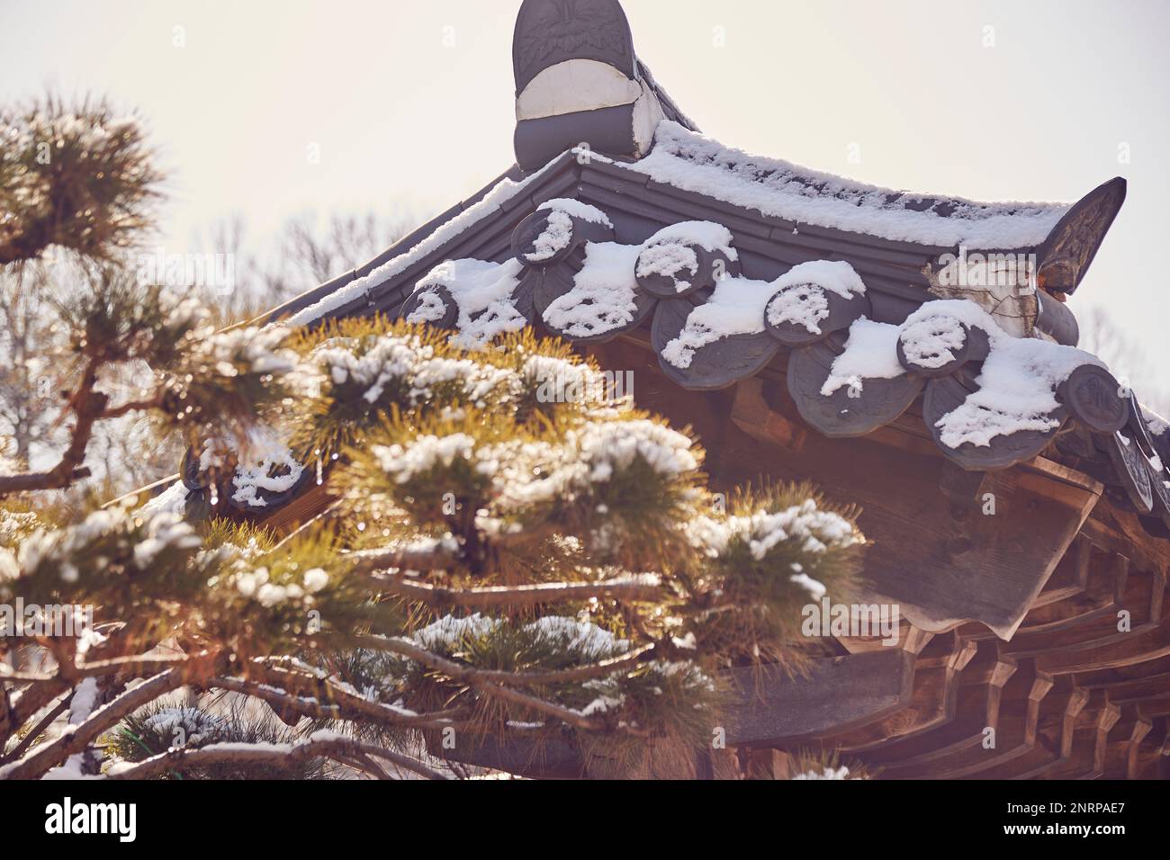 Hanji, traditional Korean paper, paper doll handmade from mulberry ...