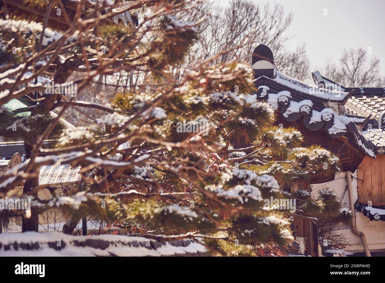 Hanji, traditional Korean paper, paper doll handmade from mulberry ...