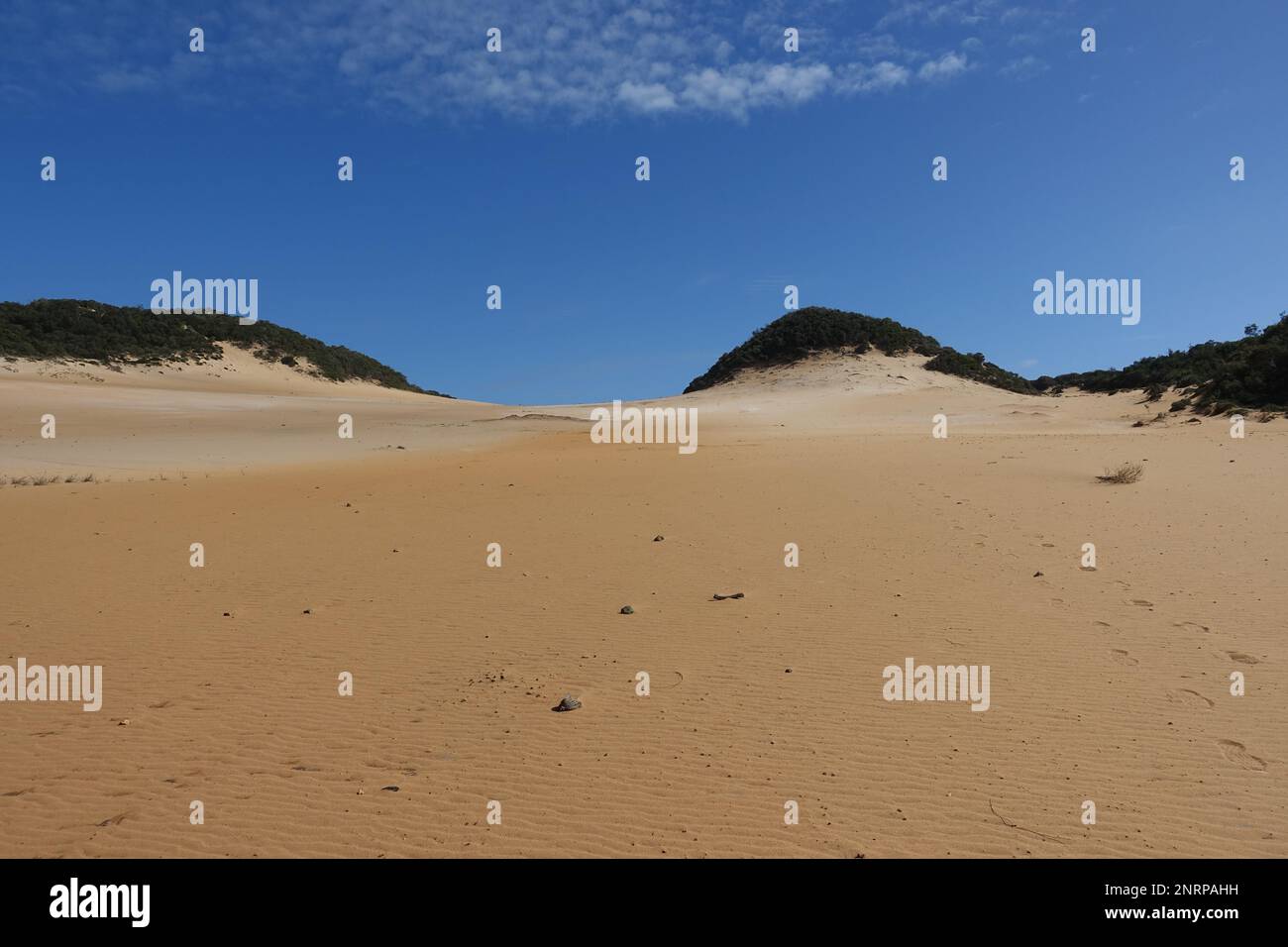 Queen Mary sand dune in Byfield National Park Stock Photo - Alamy