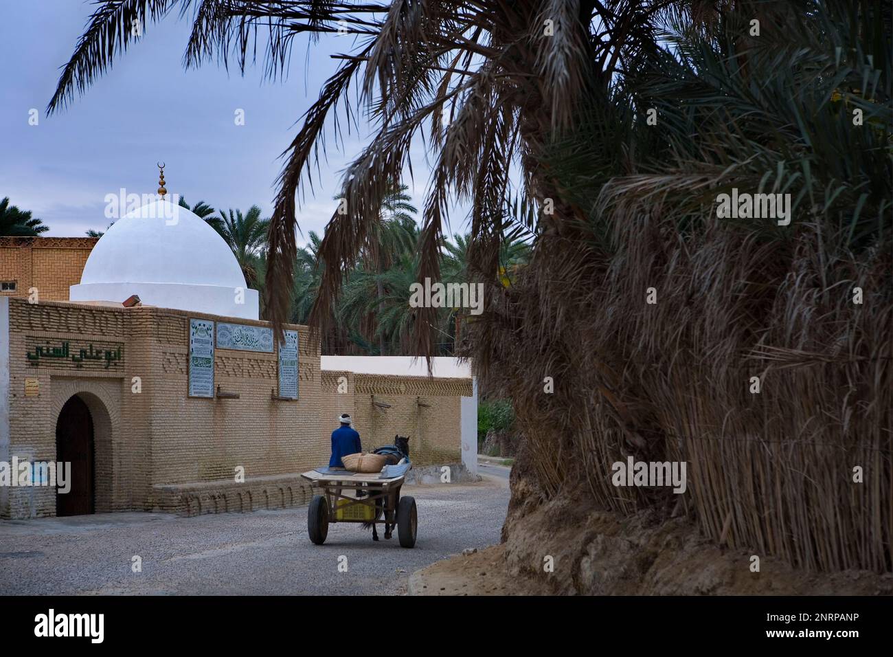 Tunisia.Nefta. Tomb of Sidi Bou Ali Stock Photo - Alamy