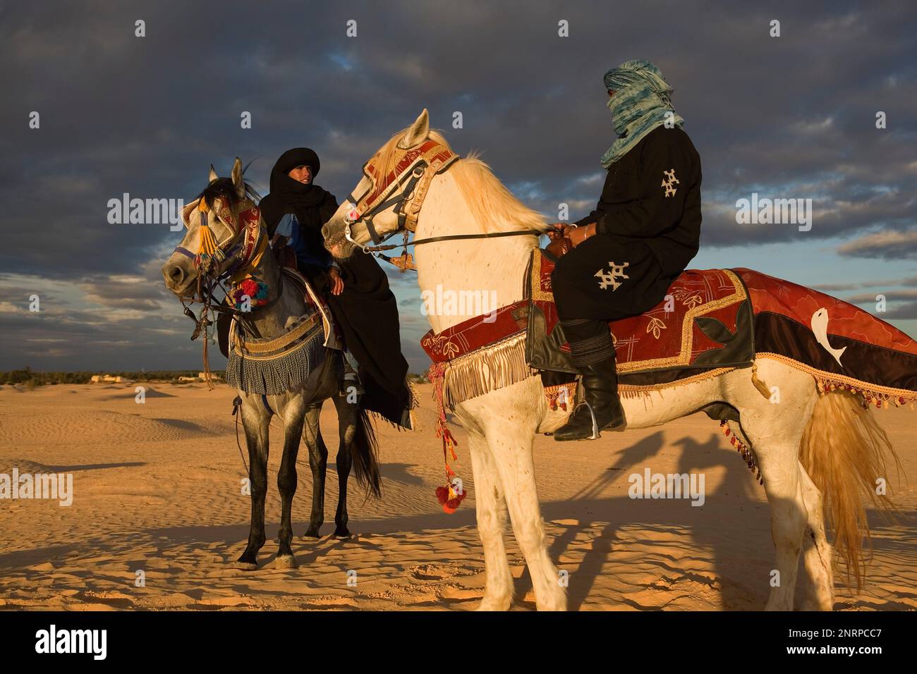 Tunisia.Douz. desert. Riders Stock Photo - Alamy