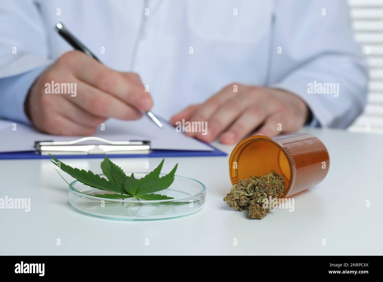 Medical hemp hi-res stock photography and images - Alamy