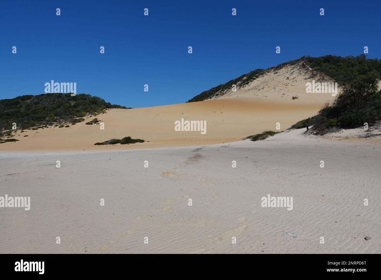 Queen Mary sand dune in Byfield National Park Stock Photo - Alamy