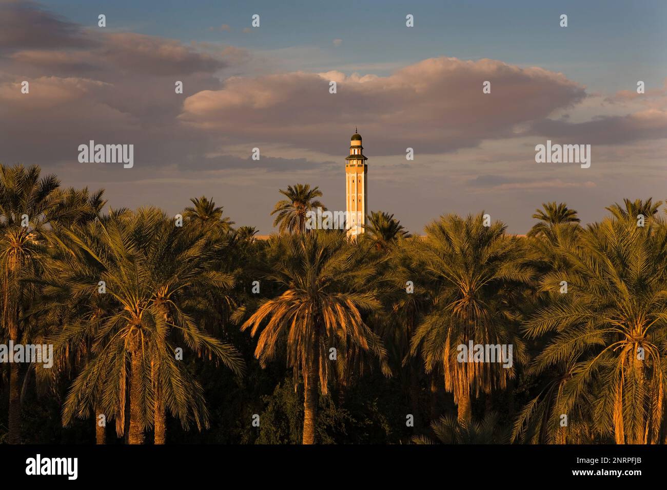 Tozeur.Oasis. Minaret of Sidi Abdallah Bou Jemra Stock Photo - Alamy