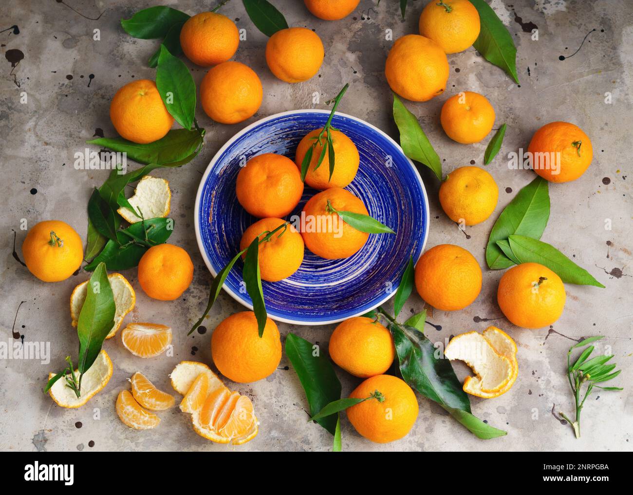 Tangerines (oranges, mandarins, clementines, citrus fruits) with leaves ...