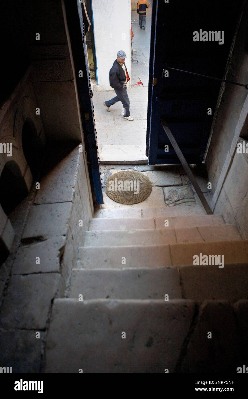 Bachia hi-res stock photography and images - Alamy