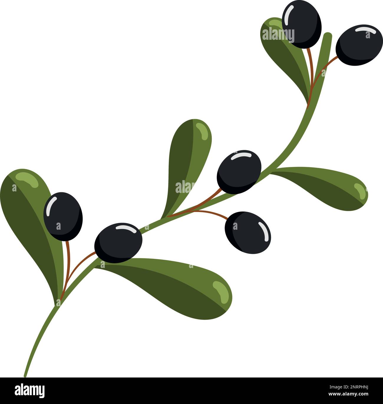 olive branch icon Stock Vector Image & Art - Alamy