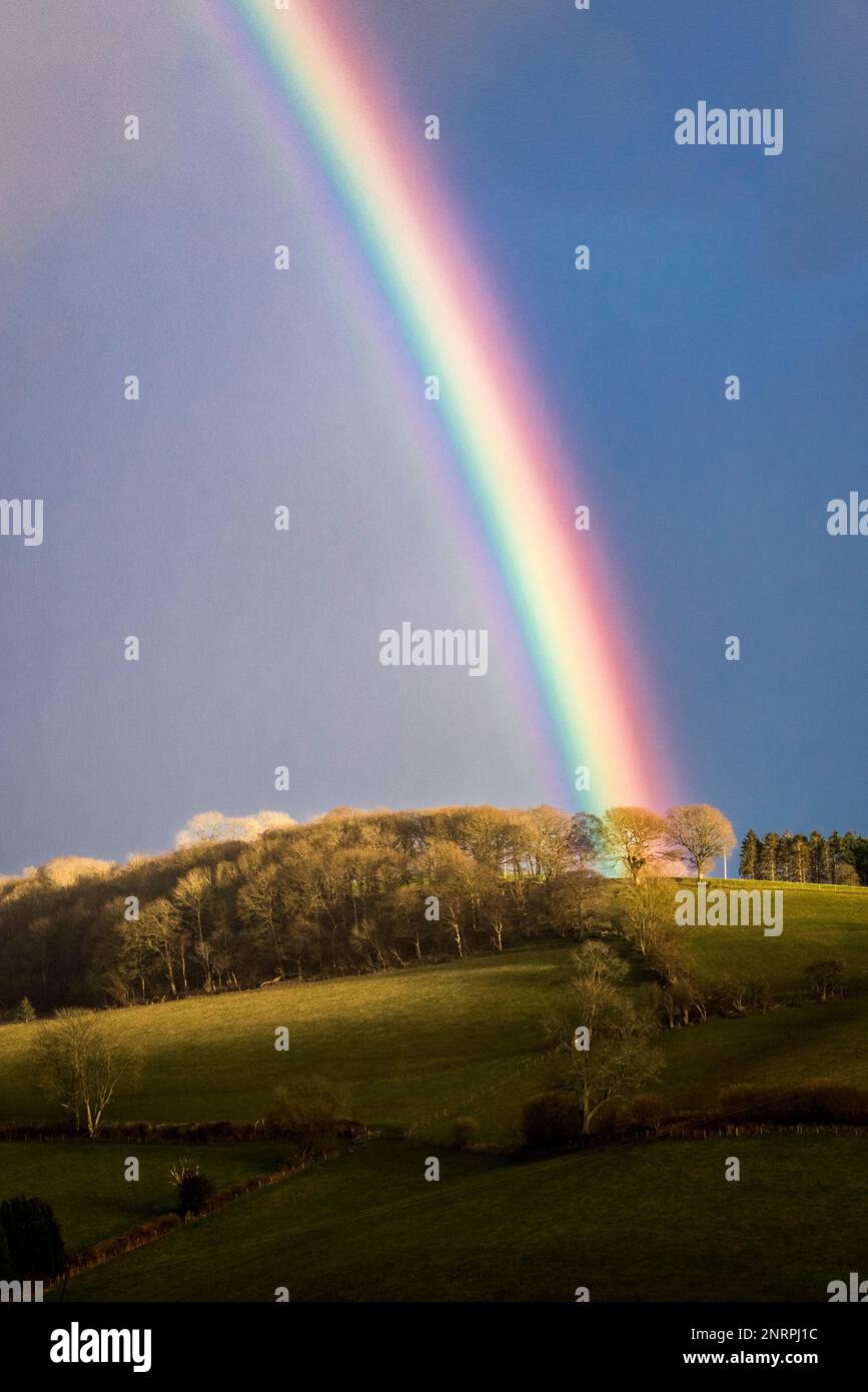 A spectacular rainbow over Stonewall Hill near Knighton on the Welsh ...