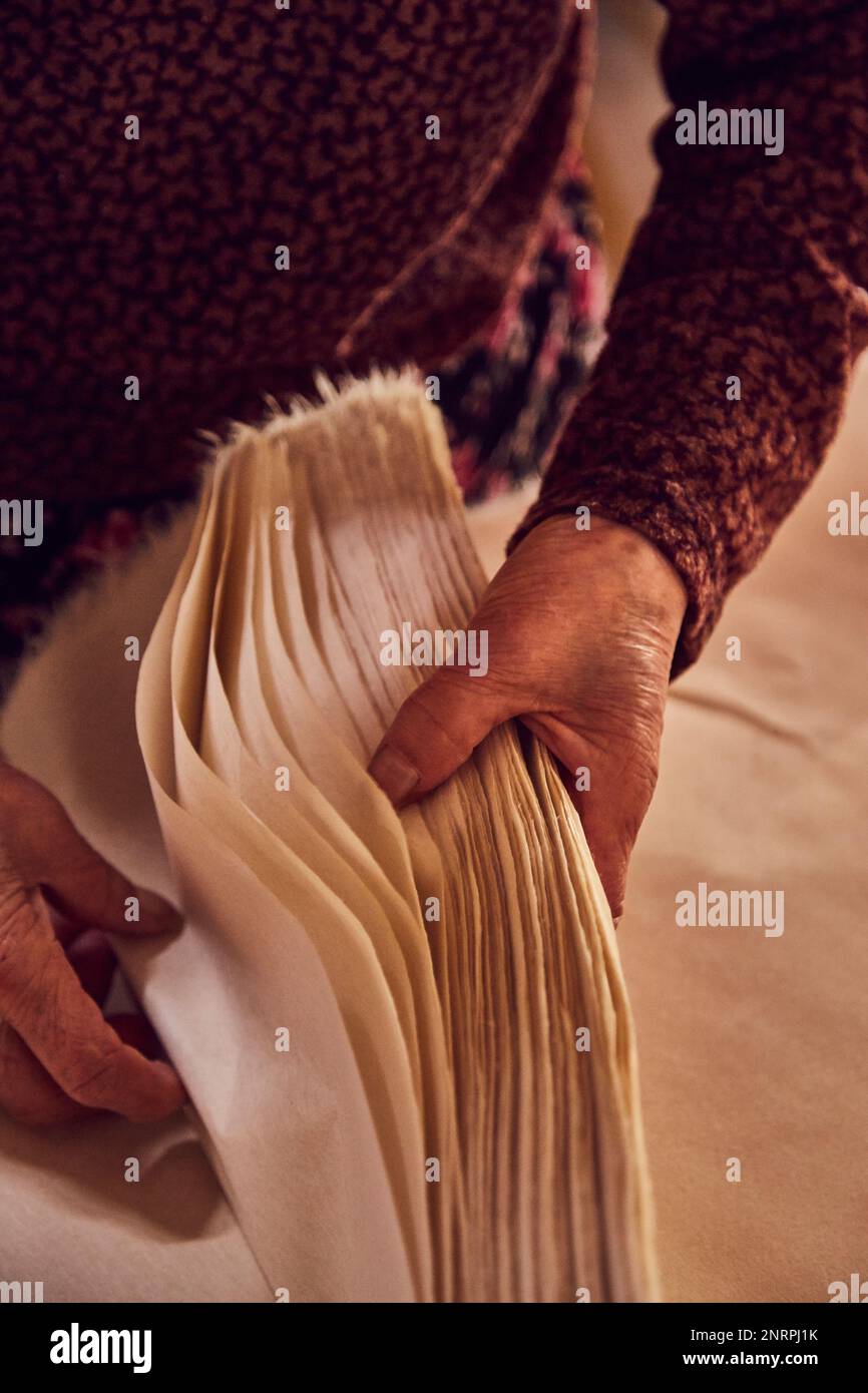 Hanji, traditional Korean paper, paper doll handmade from mulberry ...