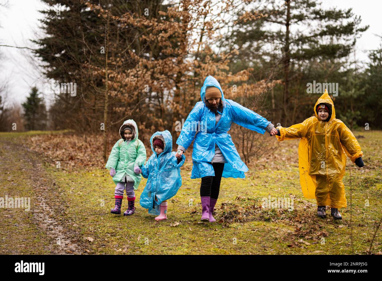 Mother and three children walking in the forest after rain in raincoats ...