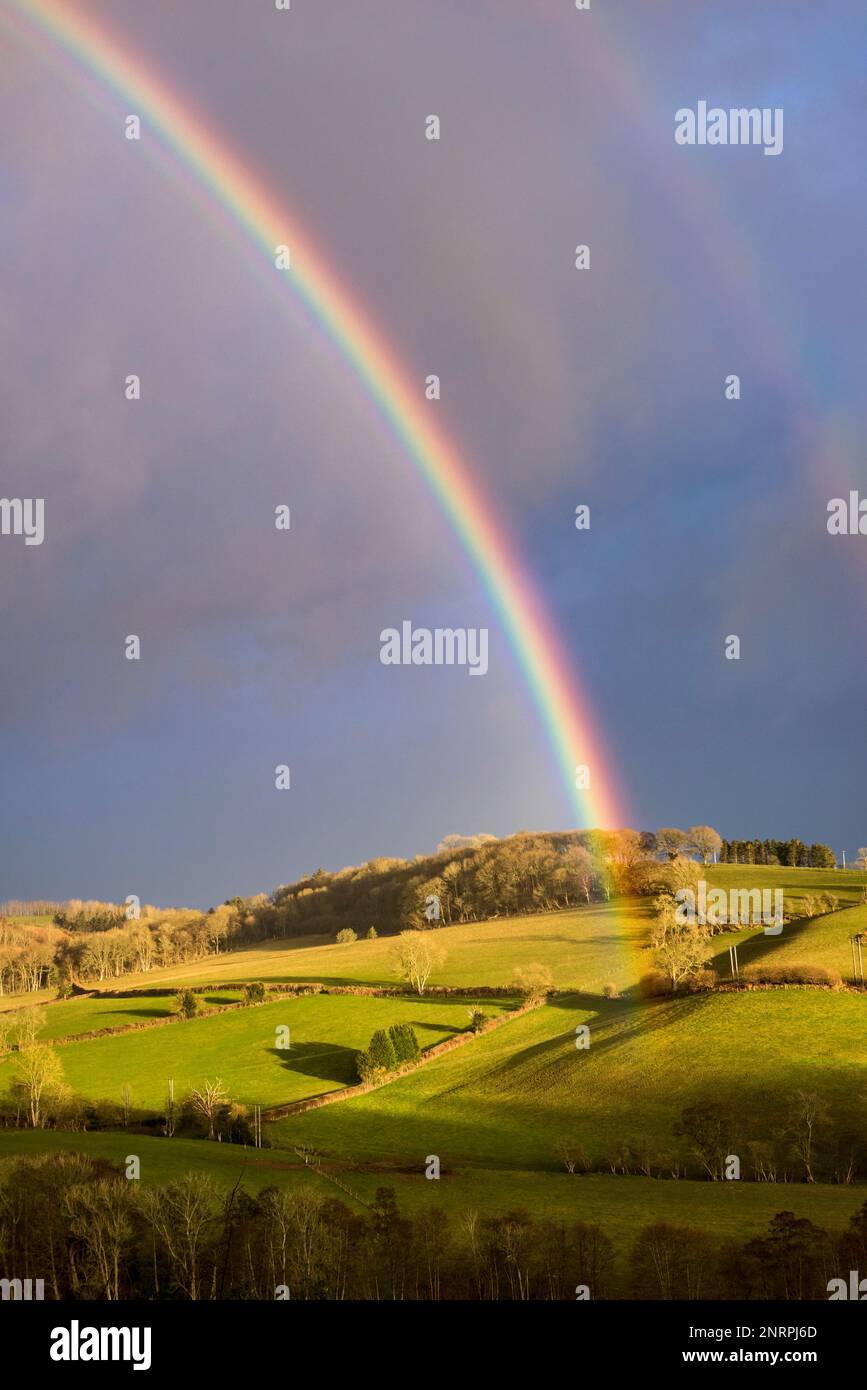 A spectacular double rainbow over Stonewall Hill near Knighton on the ...