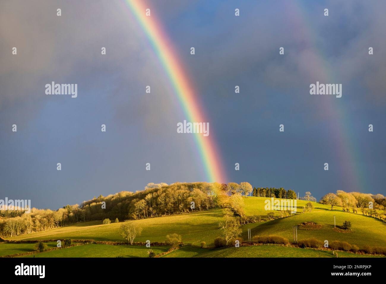 A spectacular double rainbow over Stonewall Hill near Knighton on the ...