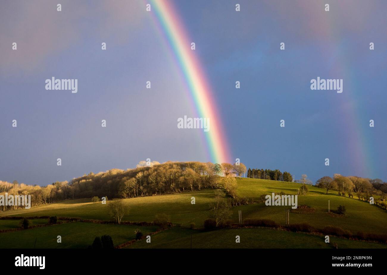 A spectacular double rainbow over Stonewall Hill near Knighton on the ...