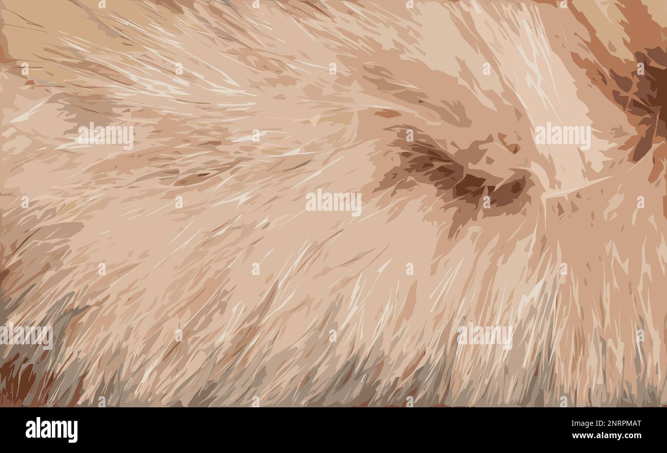 Realistic illustration close-up of real silver fox fur. Good background ...