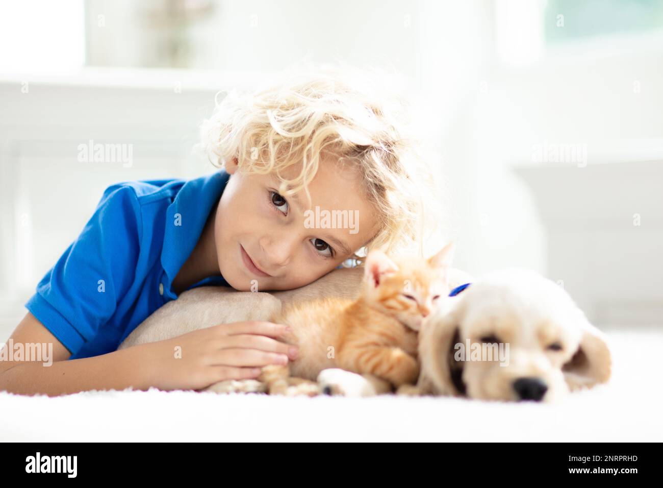 Child playing with baby dog and cat. Kids play with puppy and kitten ...