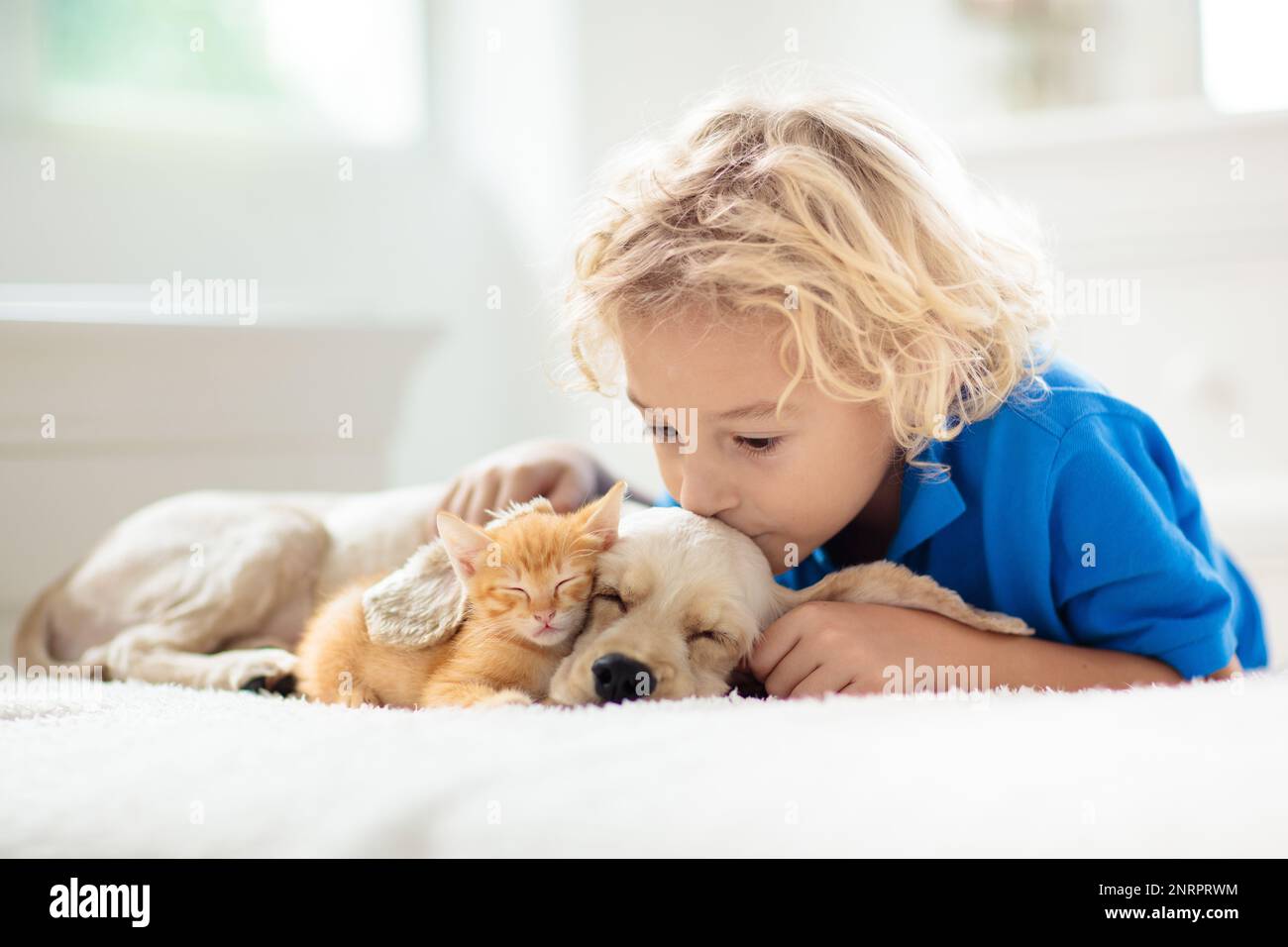 Child playing with baby dog and cat. Kids play with puppy and kitten ...