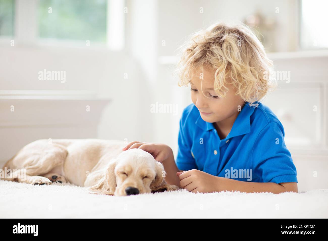 Child playing with baby dog. Kids play with puppy. Little boy and ...