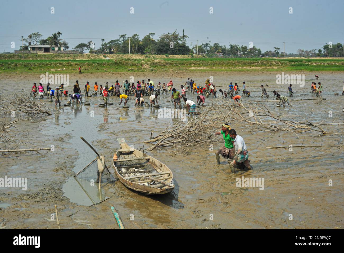 Pukuria hawr hi-res stock photography and images - Alamy