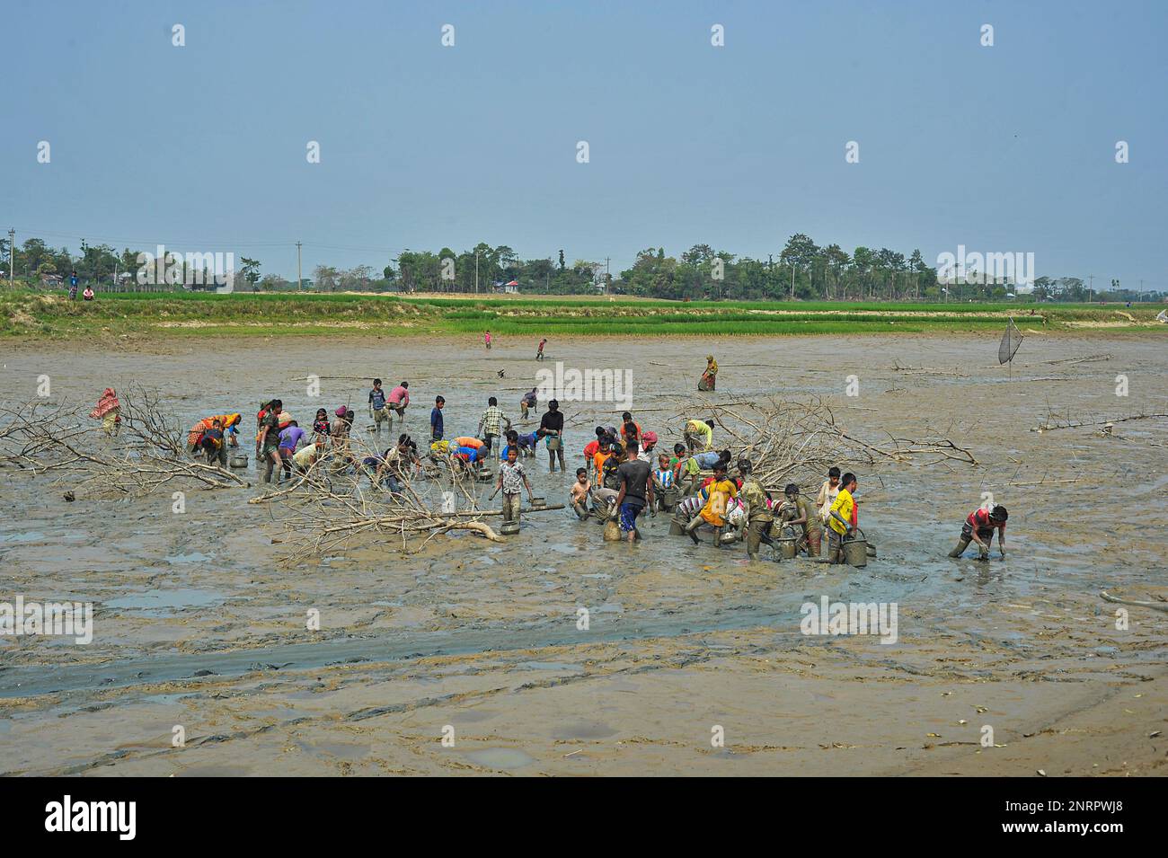 Pukuria hawr hi-res stock photography and images - Alamy