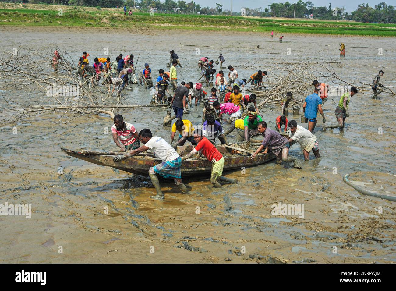 Pukuria hawr hi-res stock photography and images - Alamy