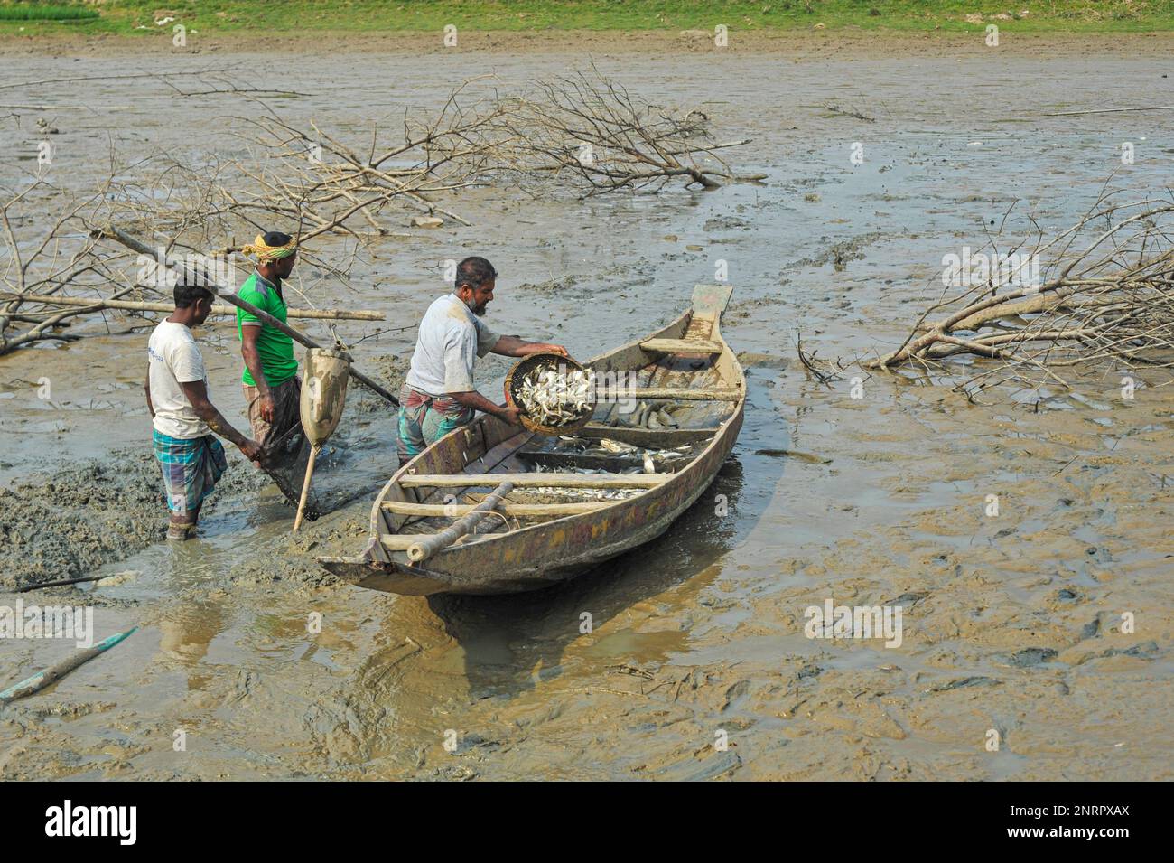 Pukuria hawr hi-res stock photography and images - Alamy