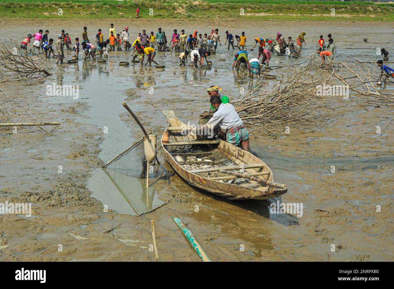 Pukuria hawr hi-res stock photography and images - Alamy