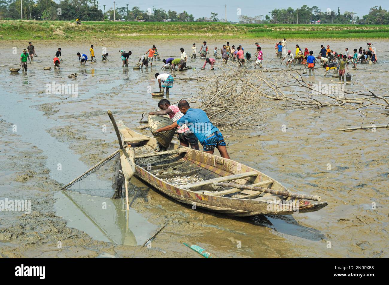 Pukuria hawr hi-res stock photography and images - Alamy