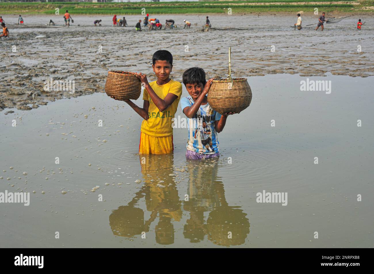 Pukuria hawr hi-res stock photography and images - Alamy