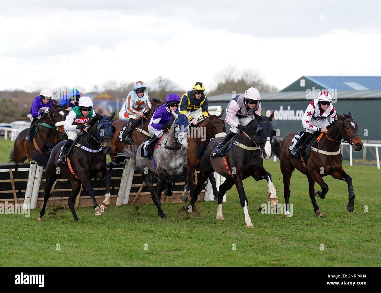 Horse ridering hi-res stock photography and images - Alamy
