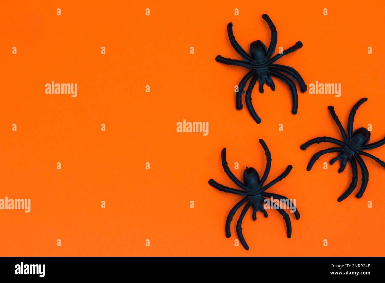 Halloween background with spiders as symbols of Halloween on the orange ...