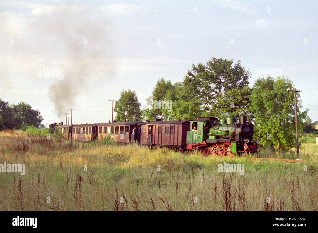 A steam train on the narrow gauge railway at Rugen in 1999 Stock Photo ...